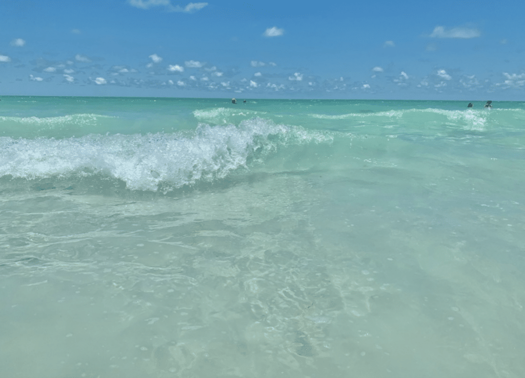 Why is Siesta Key the #1 beach?